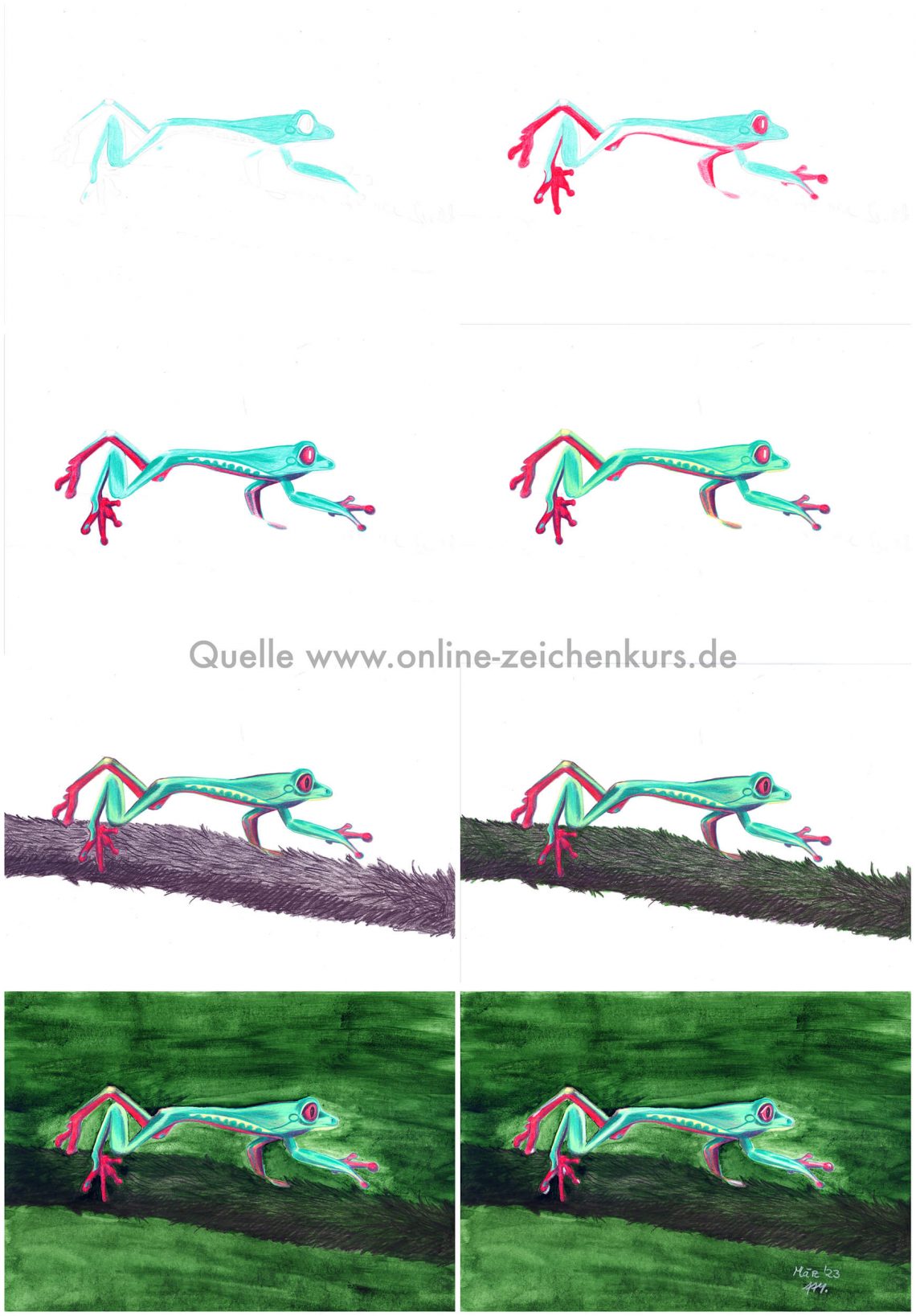 Exotischer Frosch zeichnen mit Arrtx & Mixed Media - Tutorial